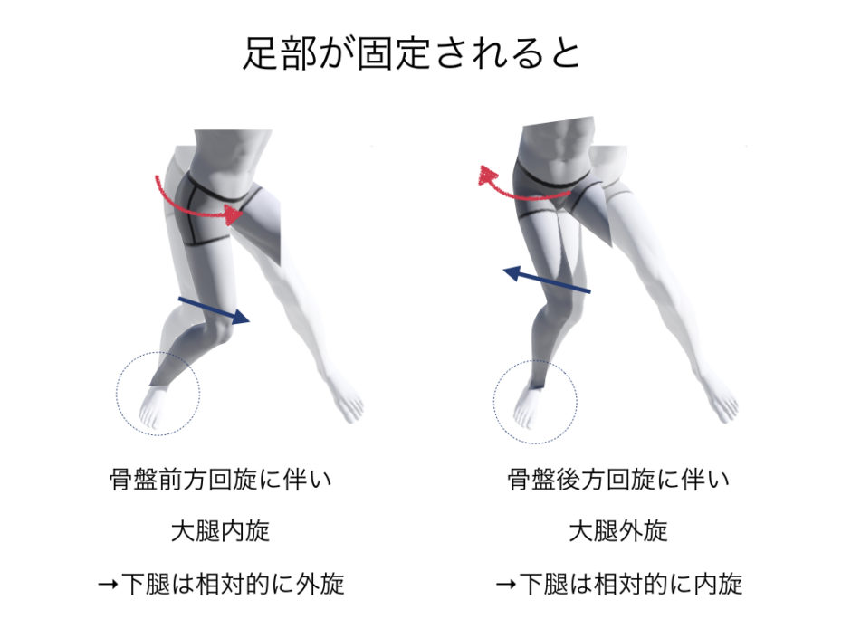 障害発症要因を疑う：Knee-in,Toe-out? | | movement design