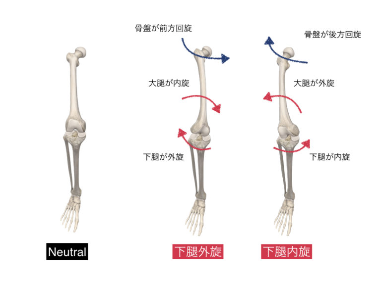 障害発症要因を疑う：Knee-in,Toe-out? | | movement design